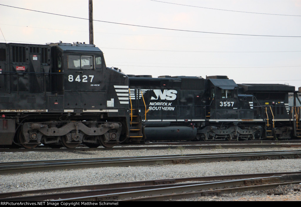 NS 8427 & NS 3557